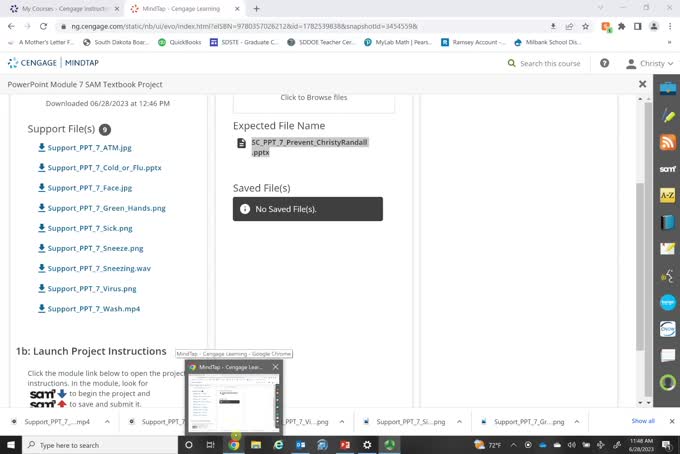 PowerPoint Module 7 Textbook Project